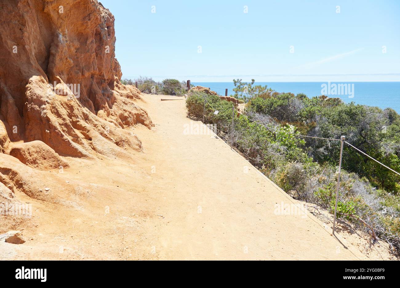 The Torrey Pines State Natural Preserve is home to the Torrey pine, one ...
