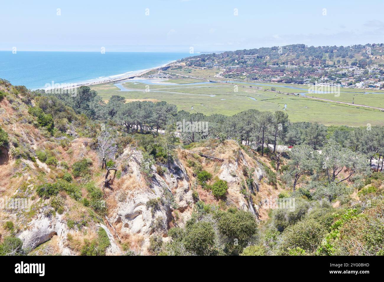 The Torrey Pines State Natural Preserve is home to the Torrey pine, one ...