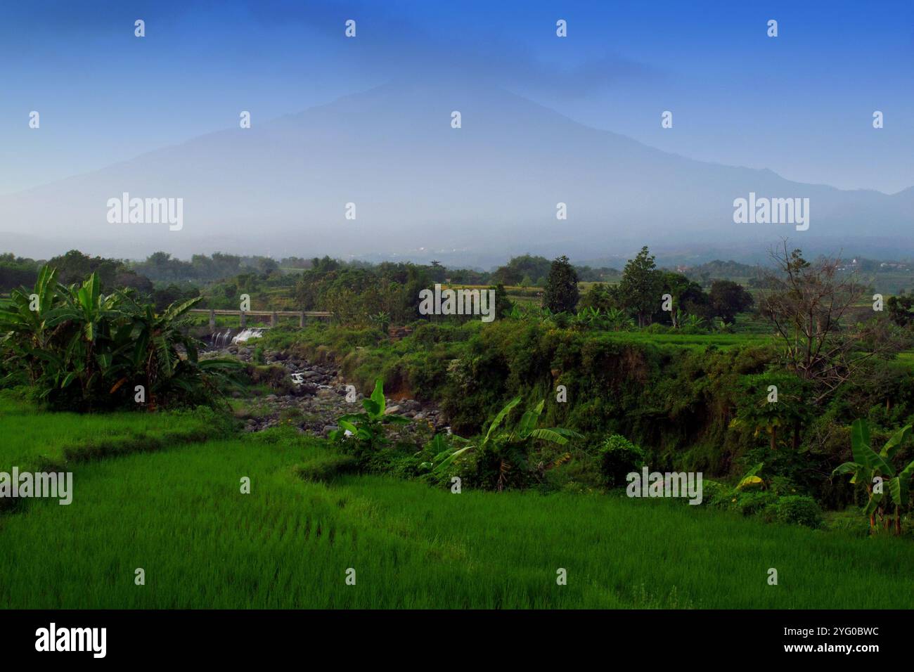 panoramic village rice fields with rice terraces at west java Indonesia ...