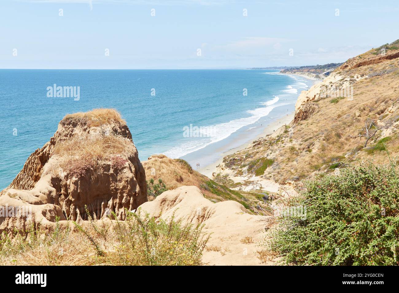 The Torrey Pines State Natural Preserve is home to the Torrey pine, one ...