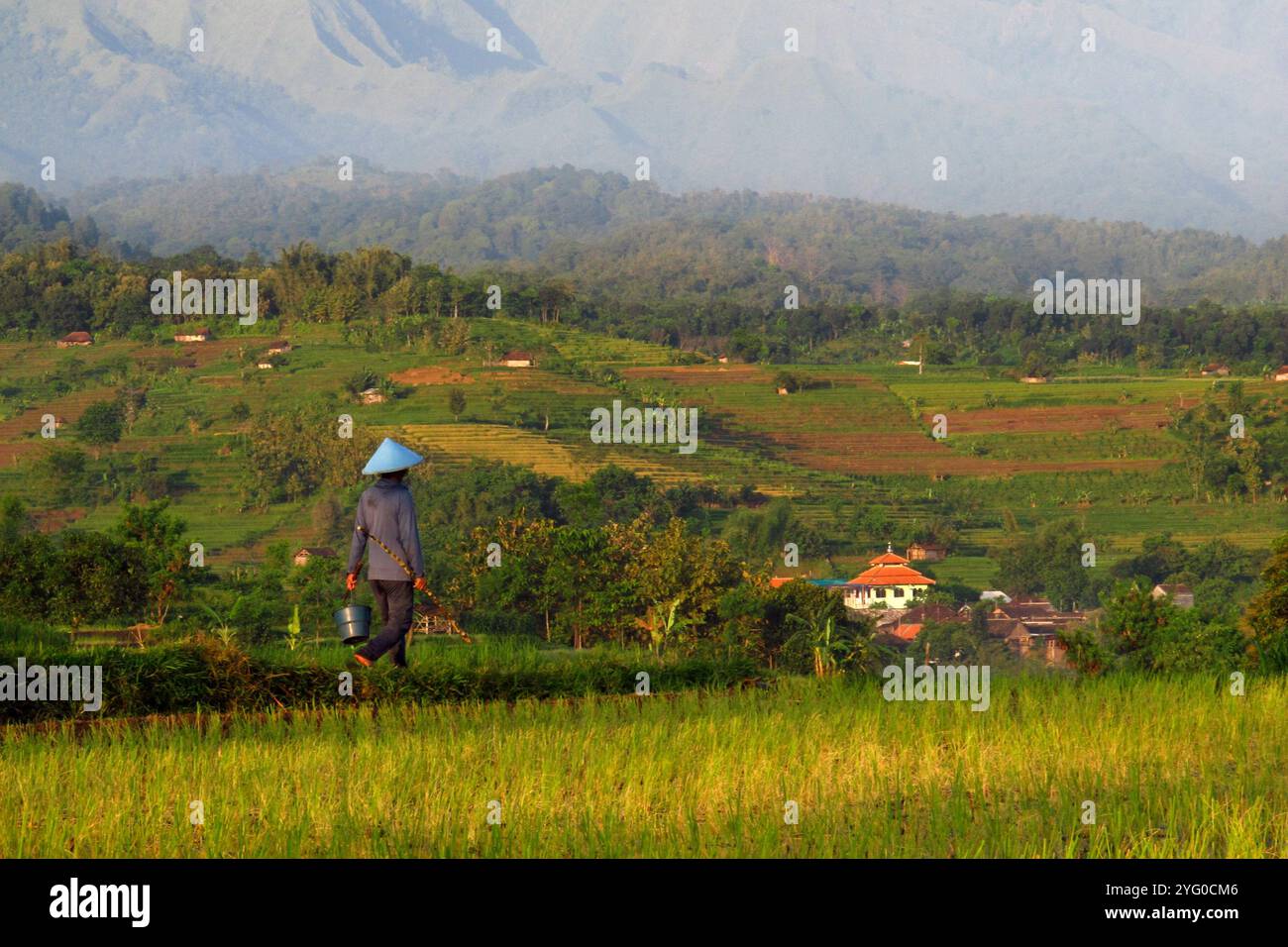 panoramic village rice fields with rice terraces at west java Indonesia ...
