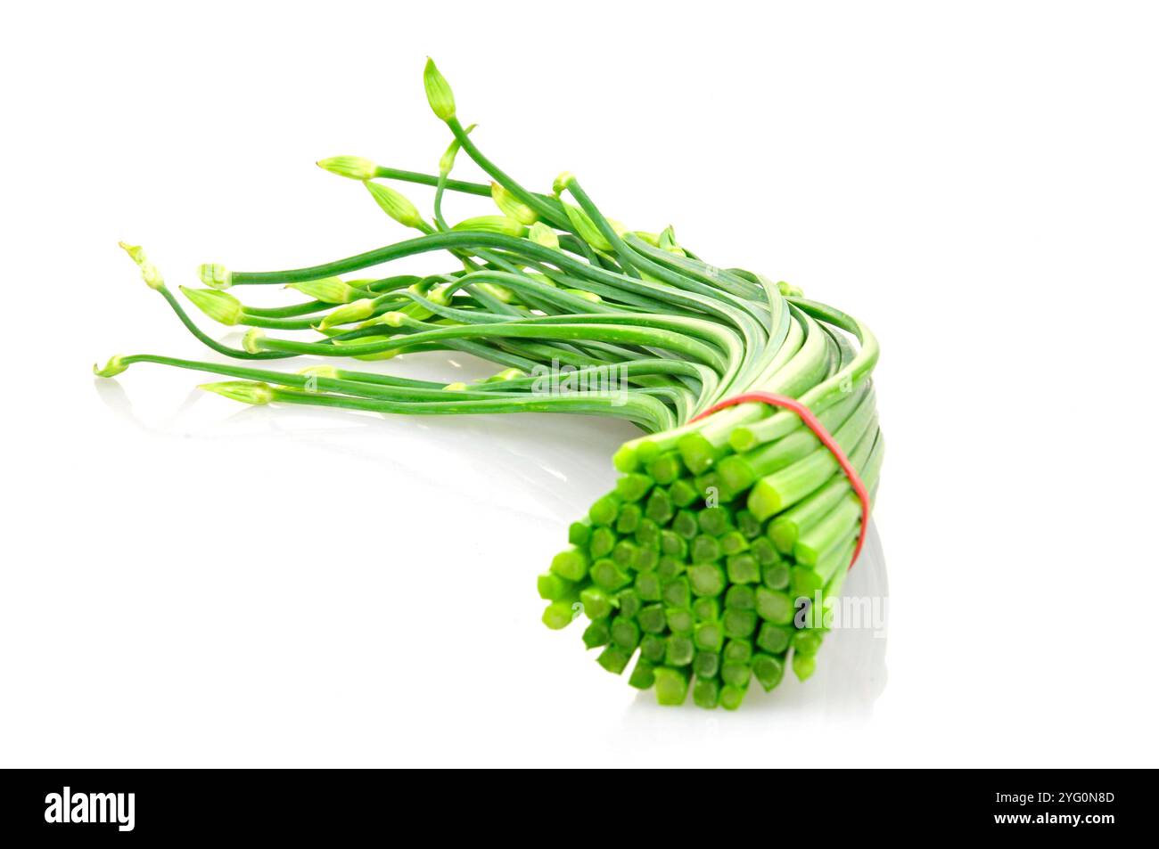 Green sprouts garlic on Cut Out Stock Images & Pictures - Alamy