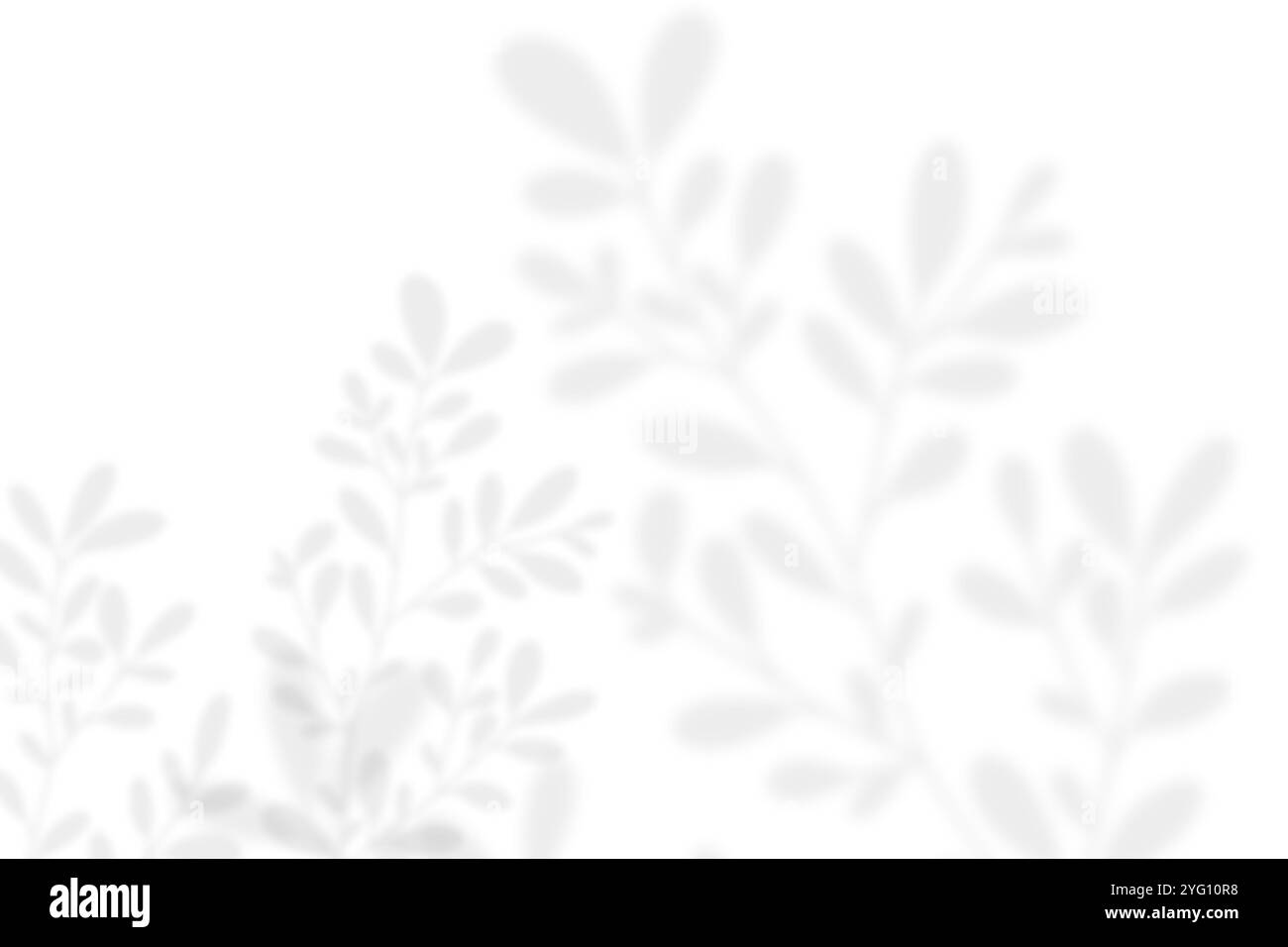 Abstract leaf shadow and light blurred background. Natural leaves tree ...