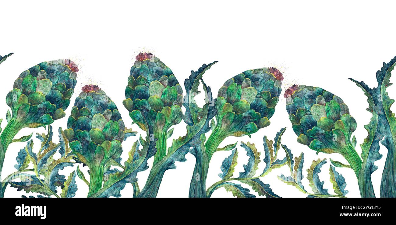 Detailed botanical illustration depicts hi-res stock photography and ...