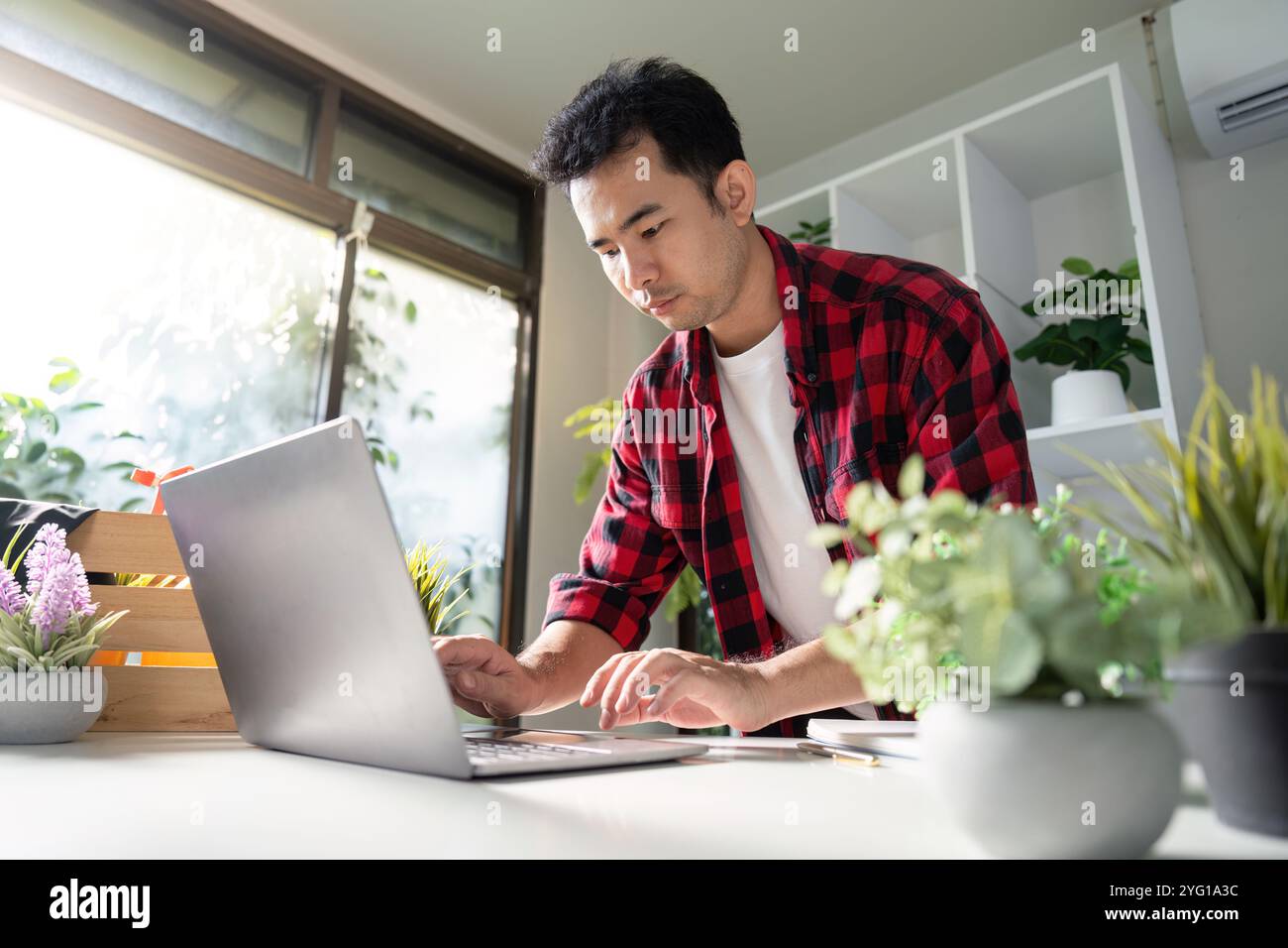 Smart Gardener Optimizing Plant Arrangement with Laptop Technology Stock Photo - Alamy