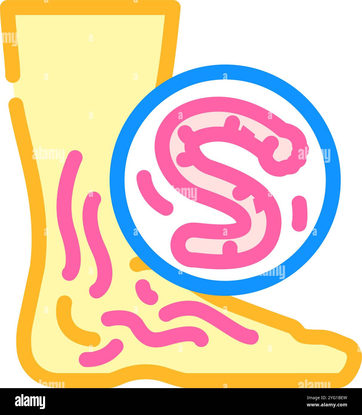 hookworm parasite color icon vector illustration Stock Vector Image ...