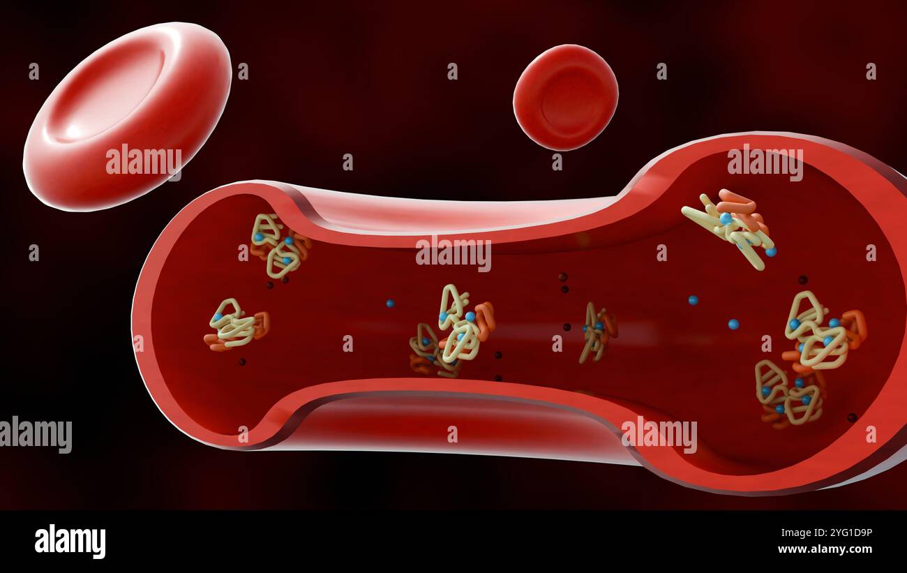 Cross section of a blood vessel hi-res stock photography and images - Alamy