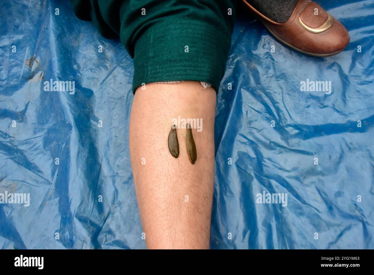 Srinagar, Kashmir. 21 March 2021. People of different ages, including ...