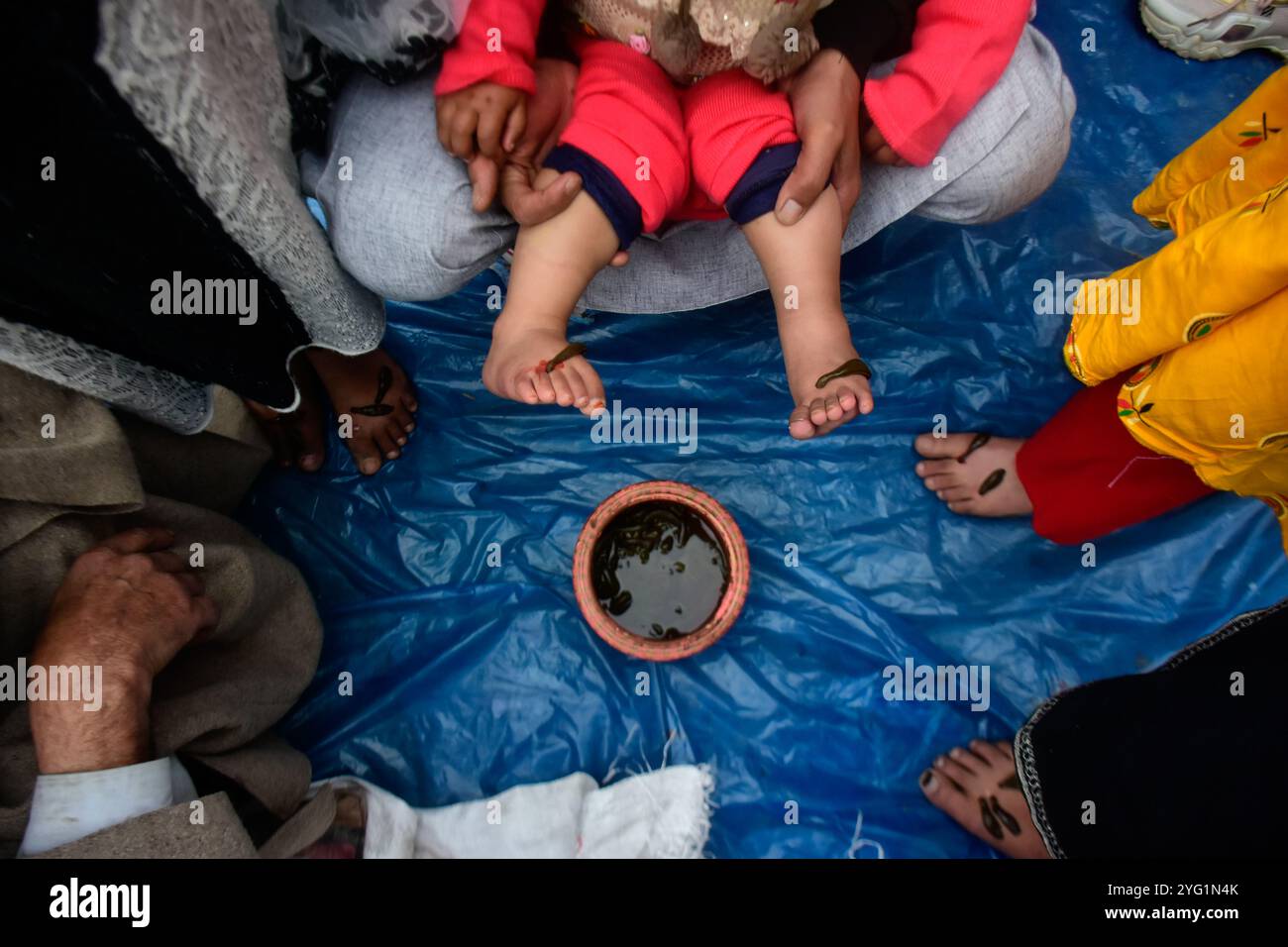 Indian leech hi-res stock photography and images - Alamy