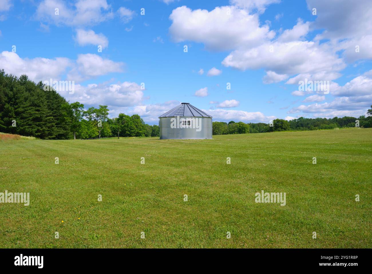 The site specific Environmental Field Station by Mark Dion. Made from a ...