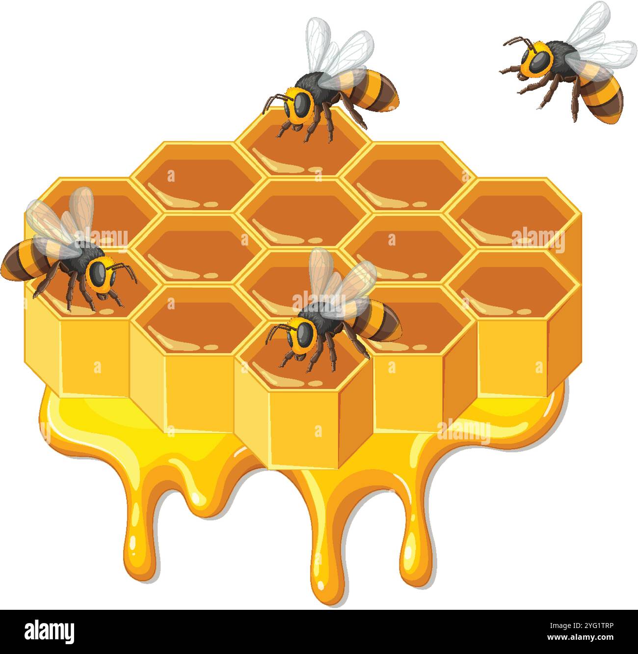 Bees buzzing around a dripping honeycomb Stock Vector Image & Art - Alamy