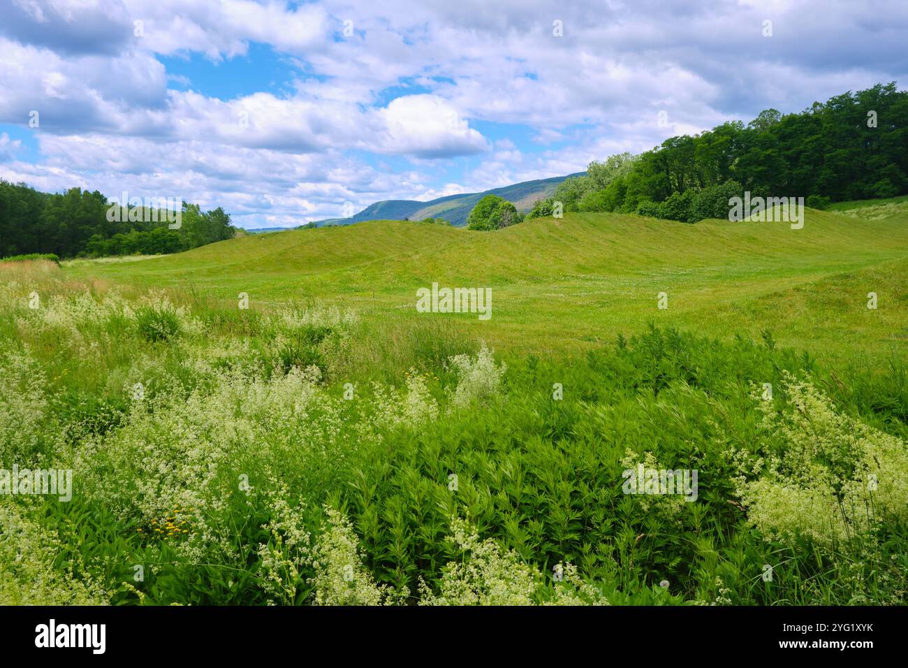 The Maya Lin earthwork sculpture, Wavefield. An undulating, curved ...