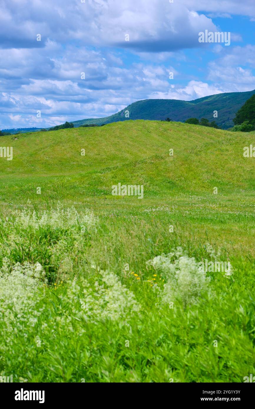 The Maya Lin earthwork sculpture, Wavefield. An undulating, curved ...