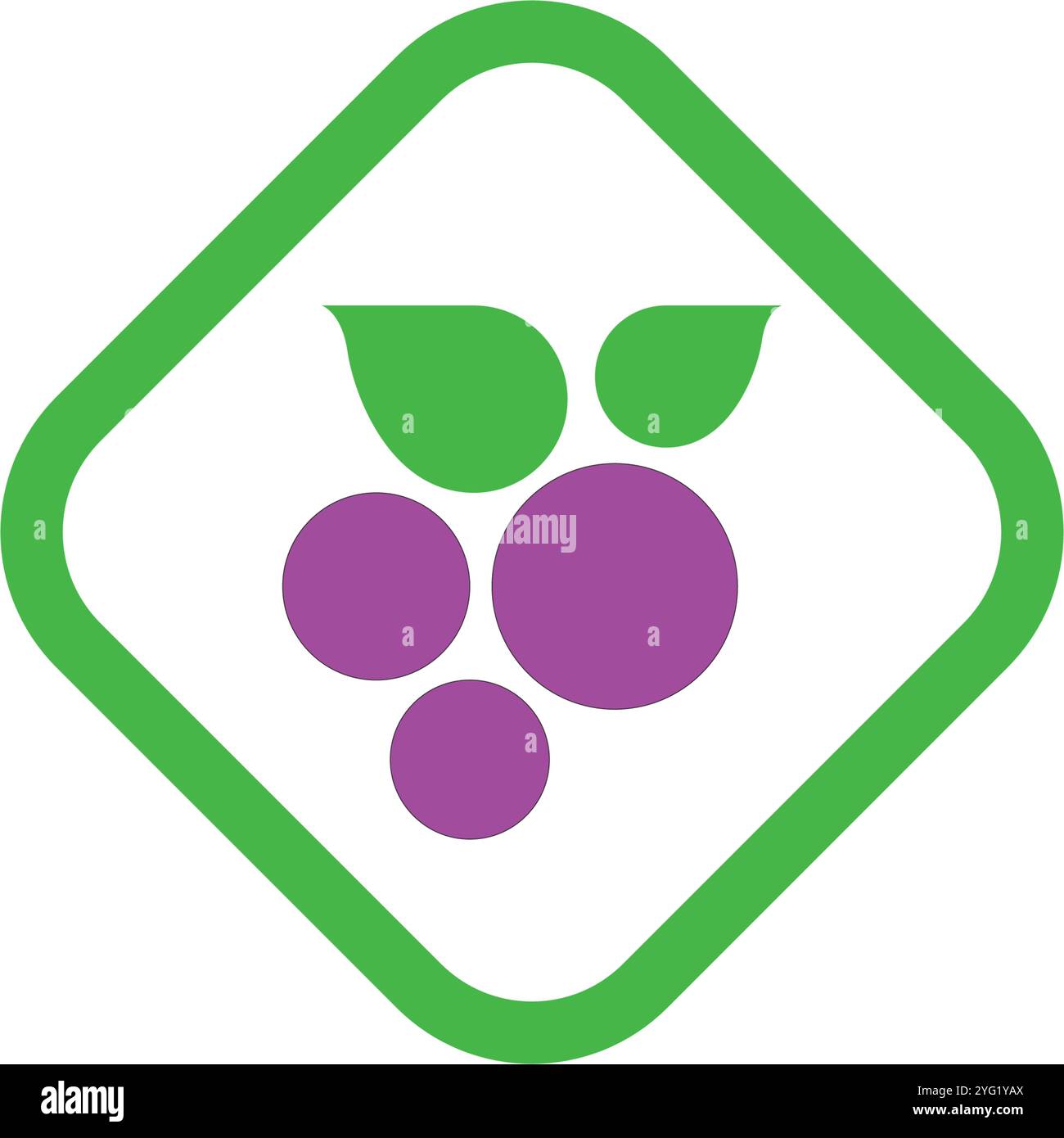 Grapes are berries Stock Vector Images - Alamy