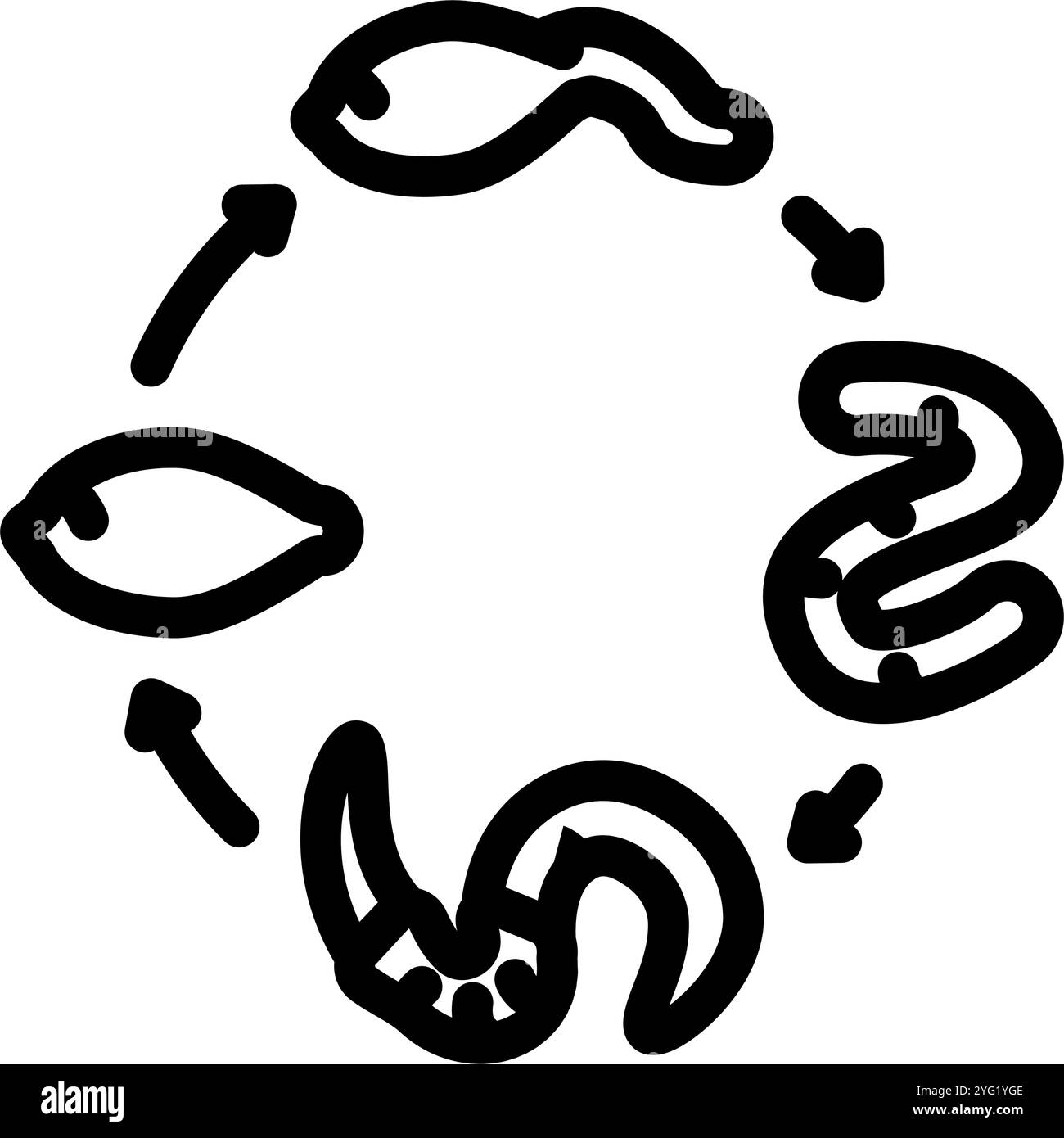 worm lifecycle parasite line icon vector illustration Stock Vector ...
