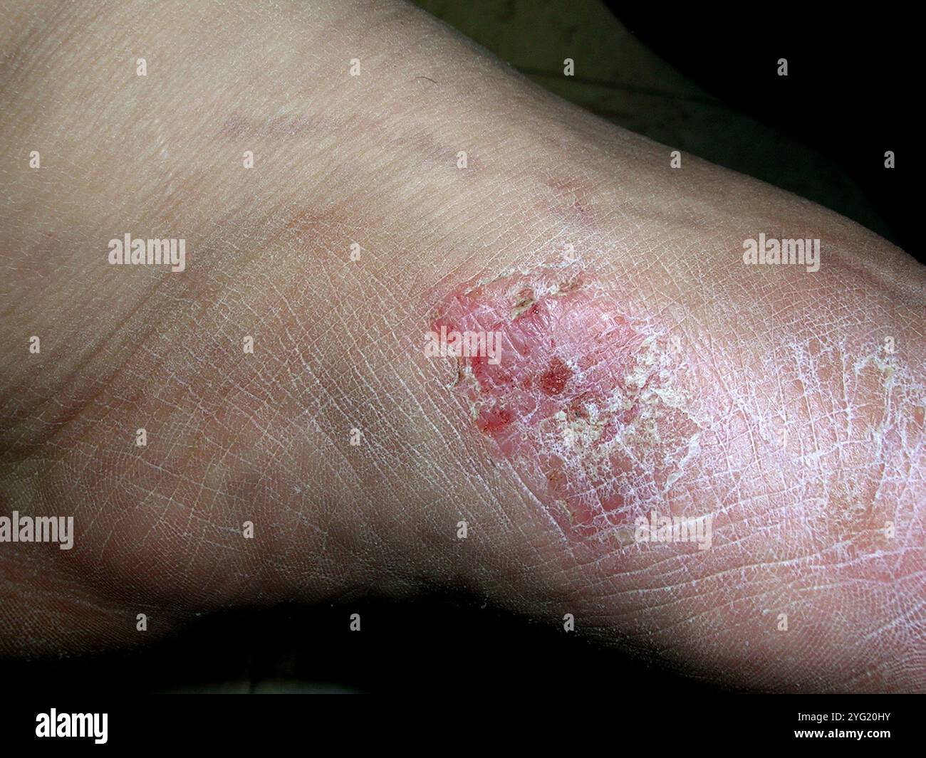 Client restrictions apply, please speak to your account manager for ...