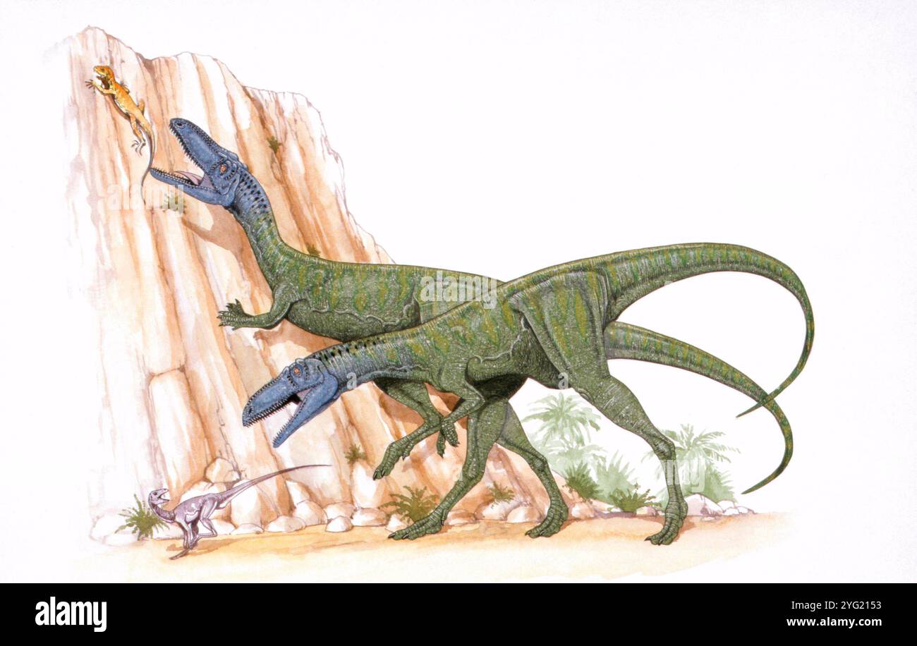 Illustration of Herrerasaurus dinosaurs hunting. This early carnivorous ...