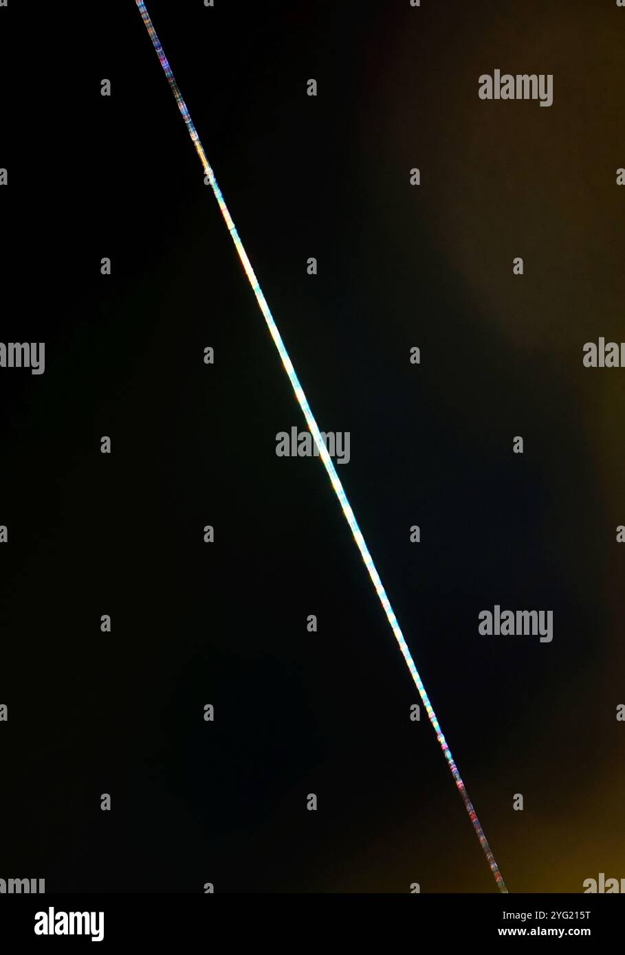 Spider dragline silk hanging from a tree. Spider silk is a natural ...