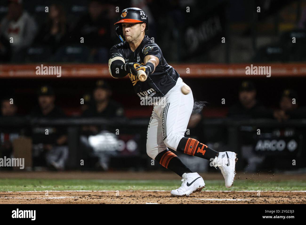 HERMOSILLO, MEXICO - NOVEMBER 5: Irving Lopez of Los Naranjeros de ...