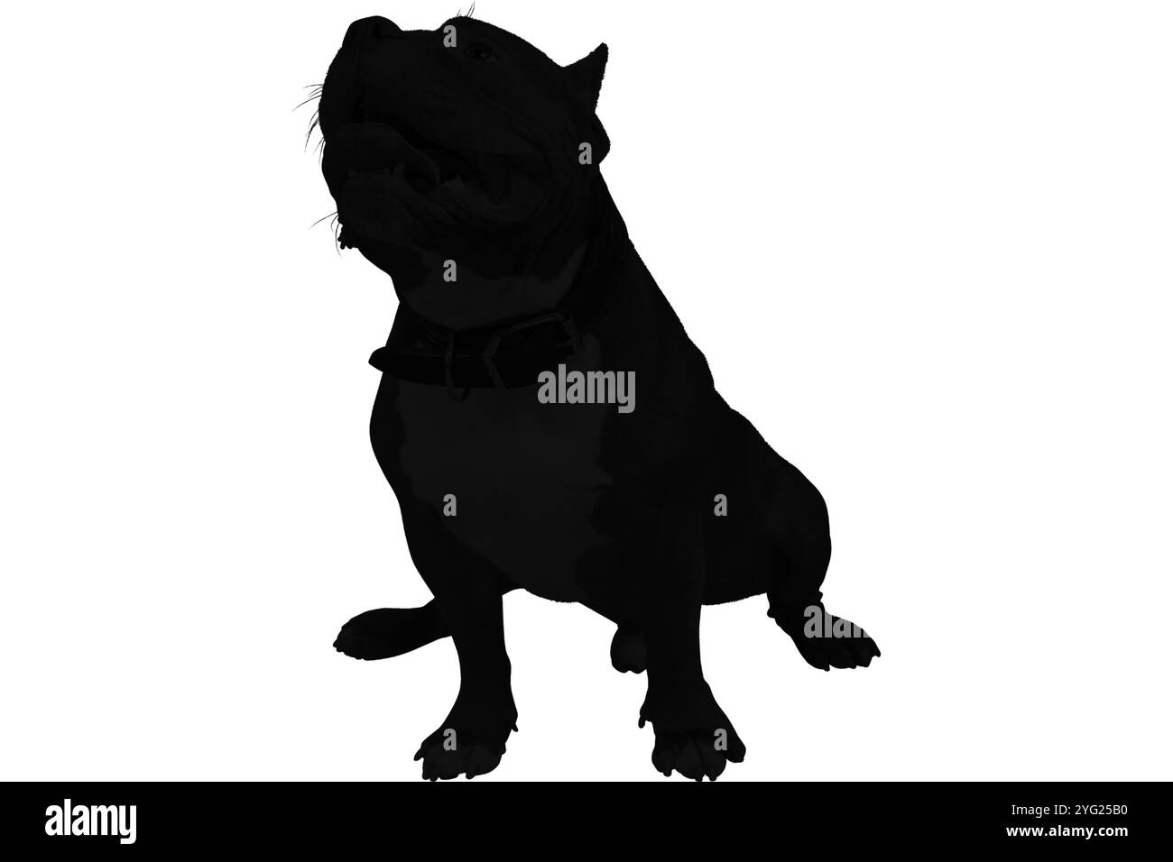 Dog silhouette. Vector silhouette of dog on white background. black dog ...