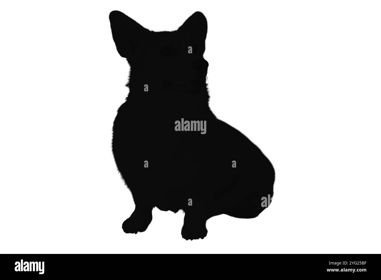 Dog silhouette. Vector silhouette of dog on white background. black dog ...