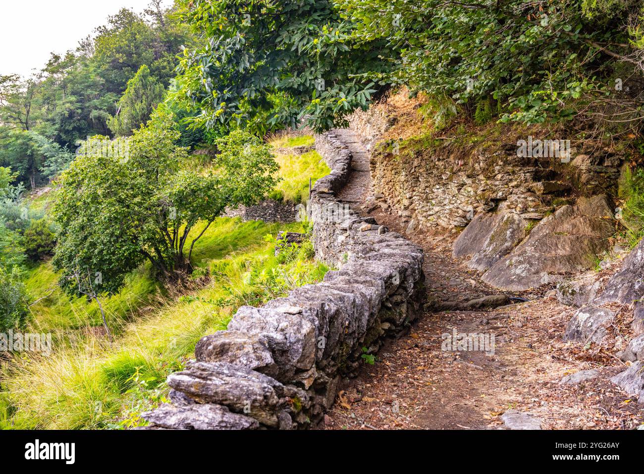 Hikers traverse the ancient Sentiero del Viandante, enjoying the lush ...