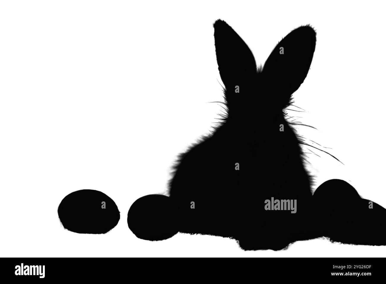 Rabbits silhouette set. Bunny symbols. Hare silhouette. Farm animal ...