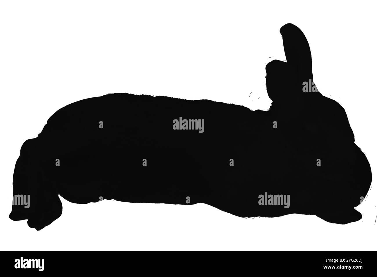 Rabbits silhouette set. Bunny symbols. Hare silhouette. Farm animal ...