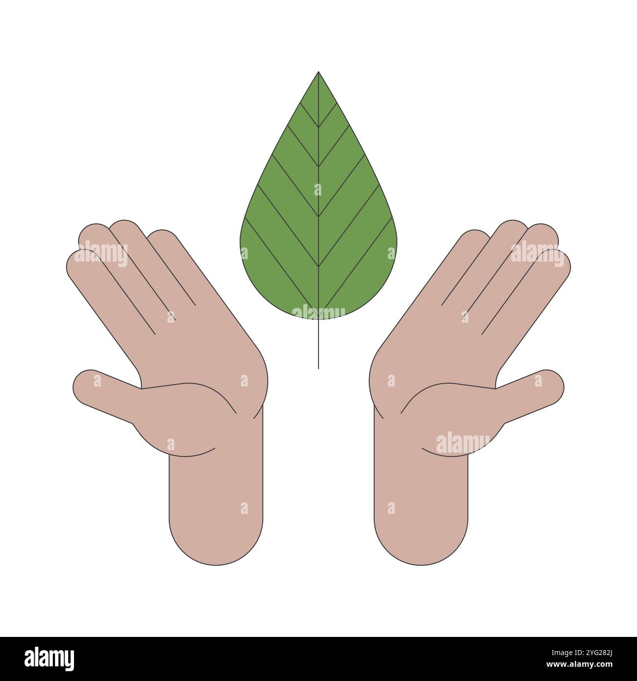 Hands holding leaf cartoon illustration Stock Vector Image & Art - Alamy