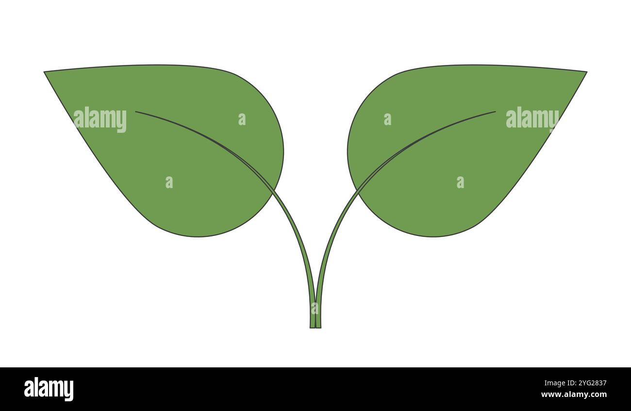 Two leaves connected by stem 2D cartoon object Stock Vector Image & Art ...