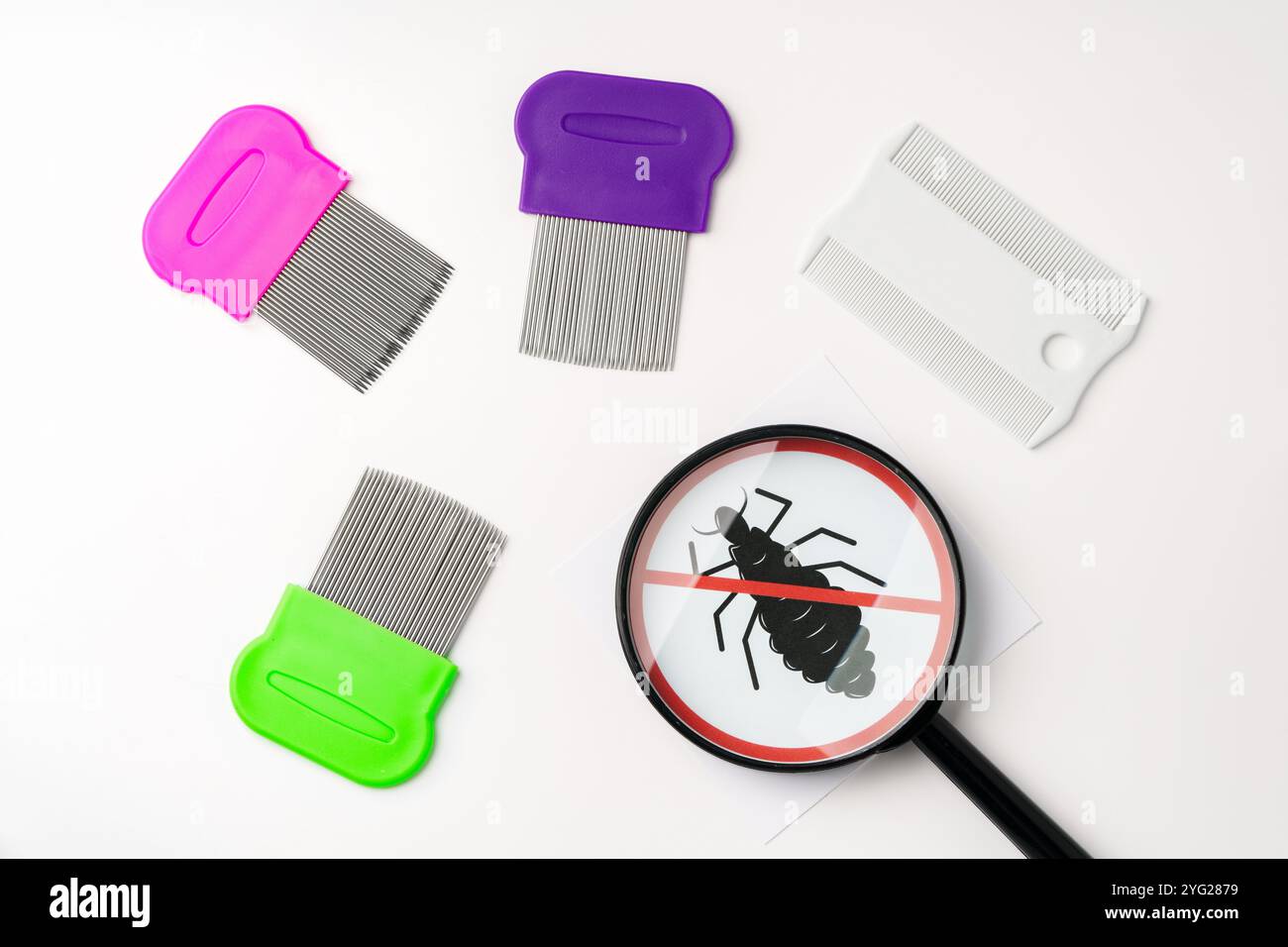 A magnifying glass and lice combs placed side by side on a clean white ...