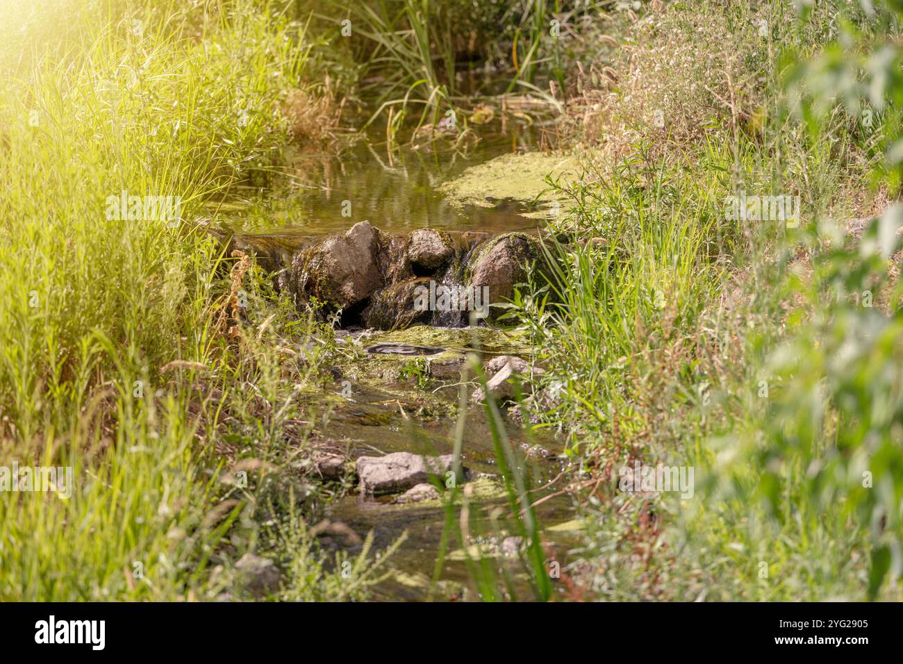 Stream flowing water stones hi-res stock photography and images - Alamy