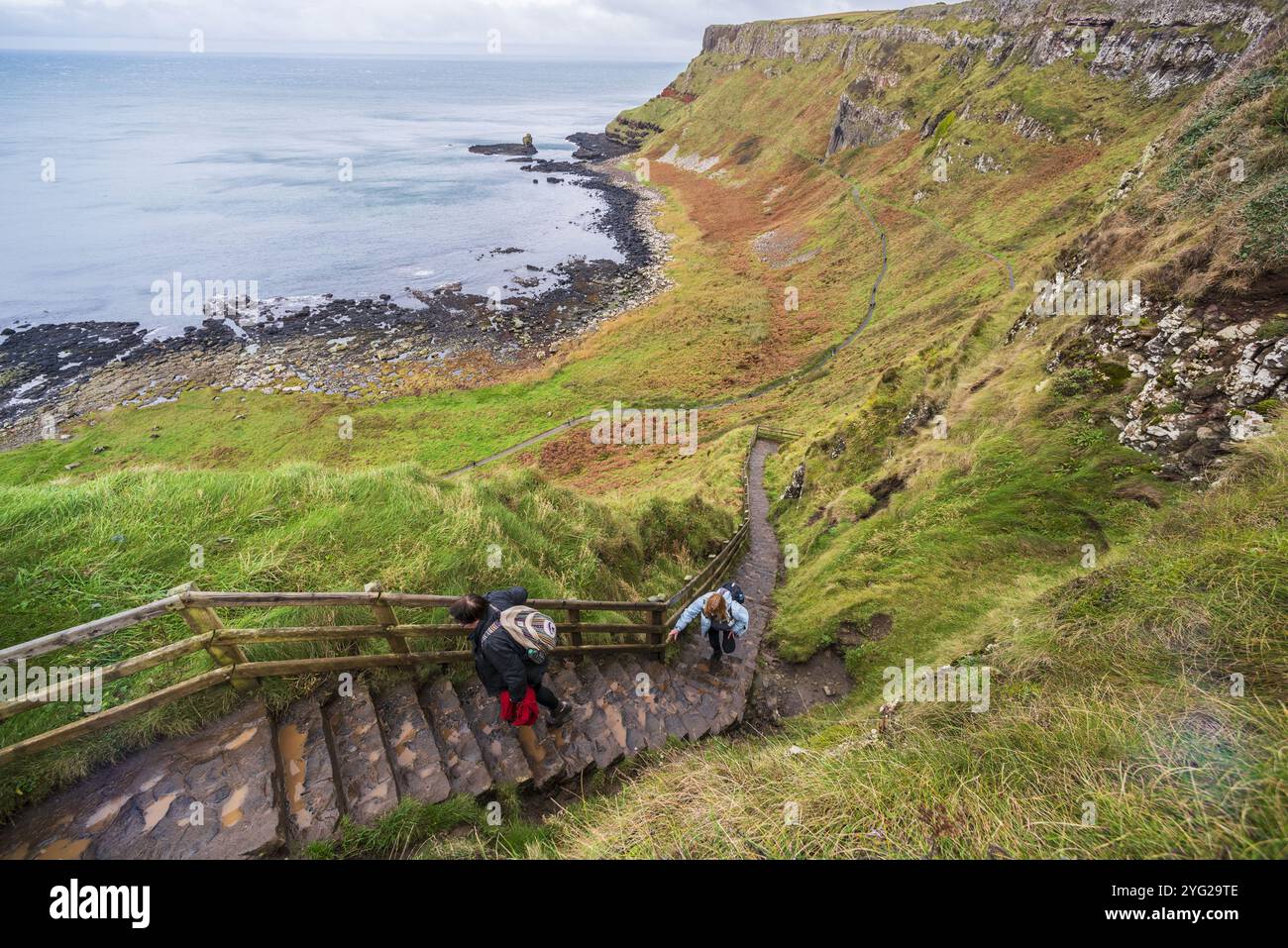 NORTH IRELAND, BUSHMILLS, SHEPHERD'S STEPS LEADING TO THE GIANT'S ...