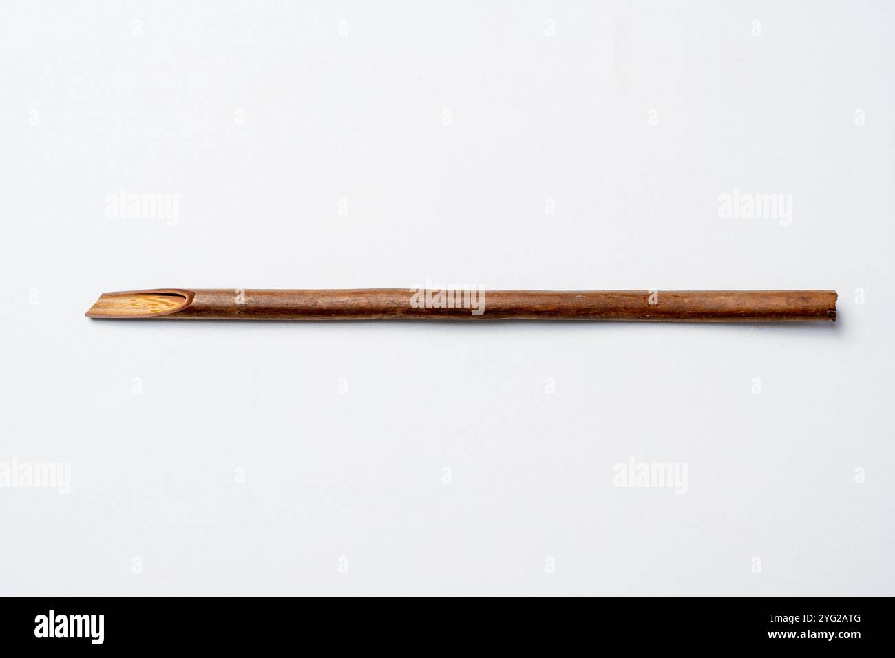 Calligraphy reeds isolated over white background. Reeds pen ink for ...