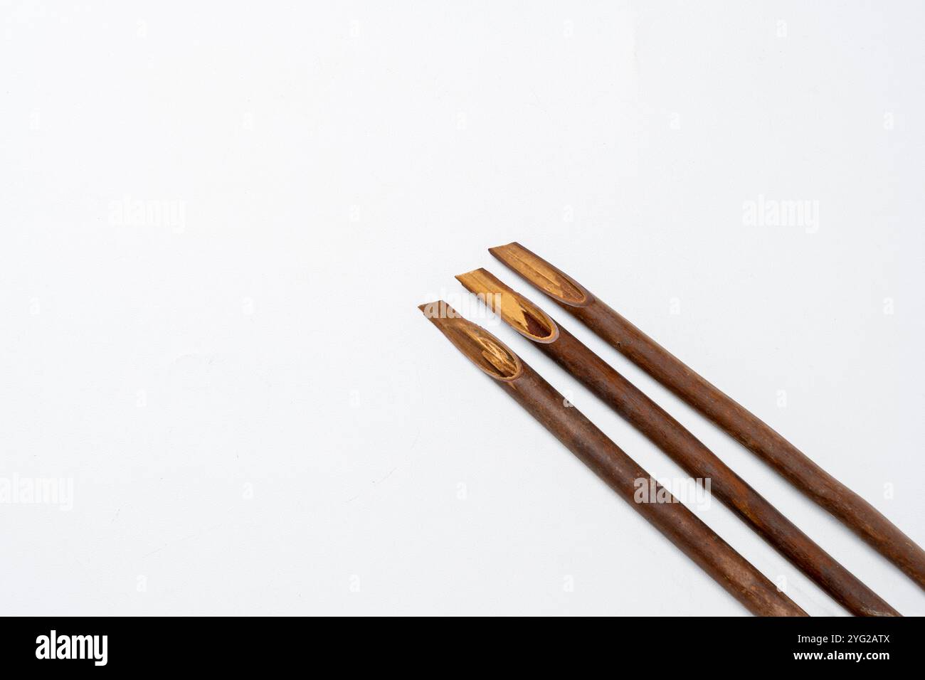 Set of calligraphy reeds isolated over white background. Reeds pen ink ...