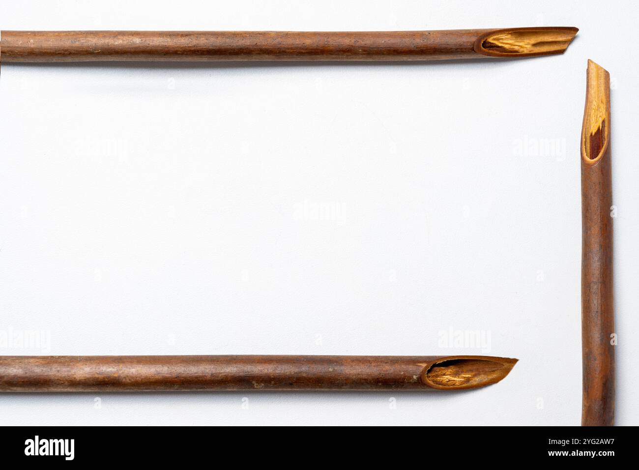 Set of calligraphy reeds isolated over white background. Reeds pen ink ...