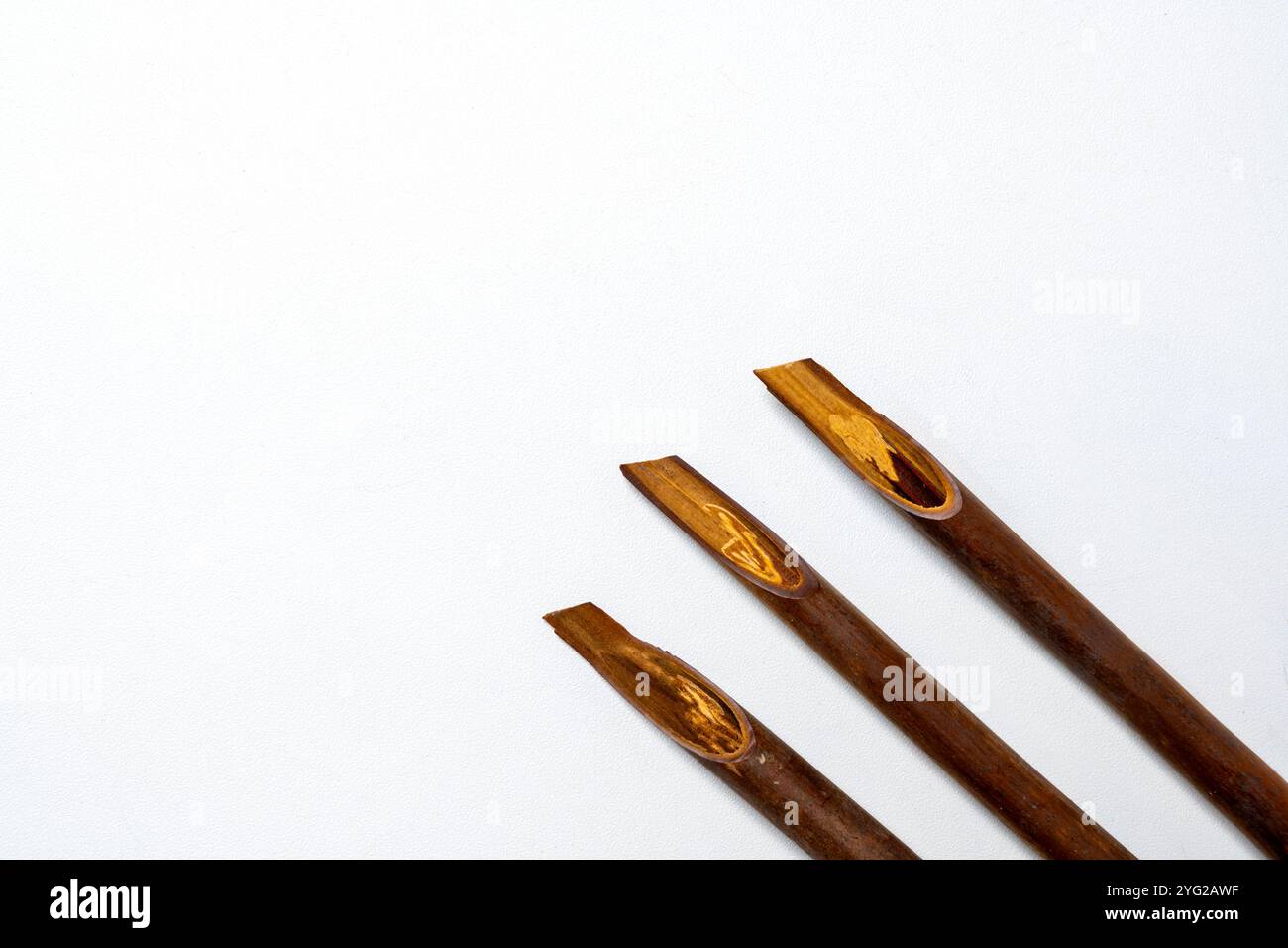 Set of calligraphy reeds isolated over white background. Reeds pen ink ...
