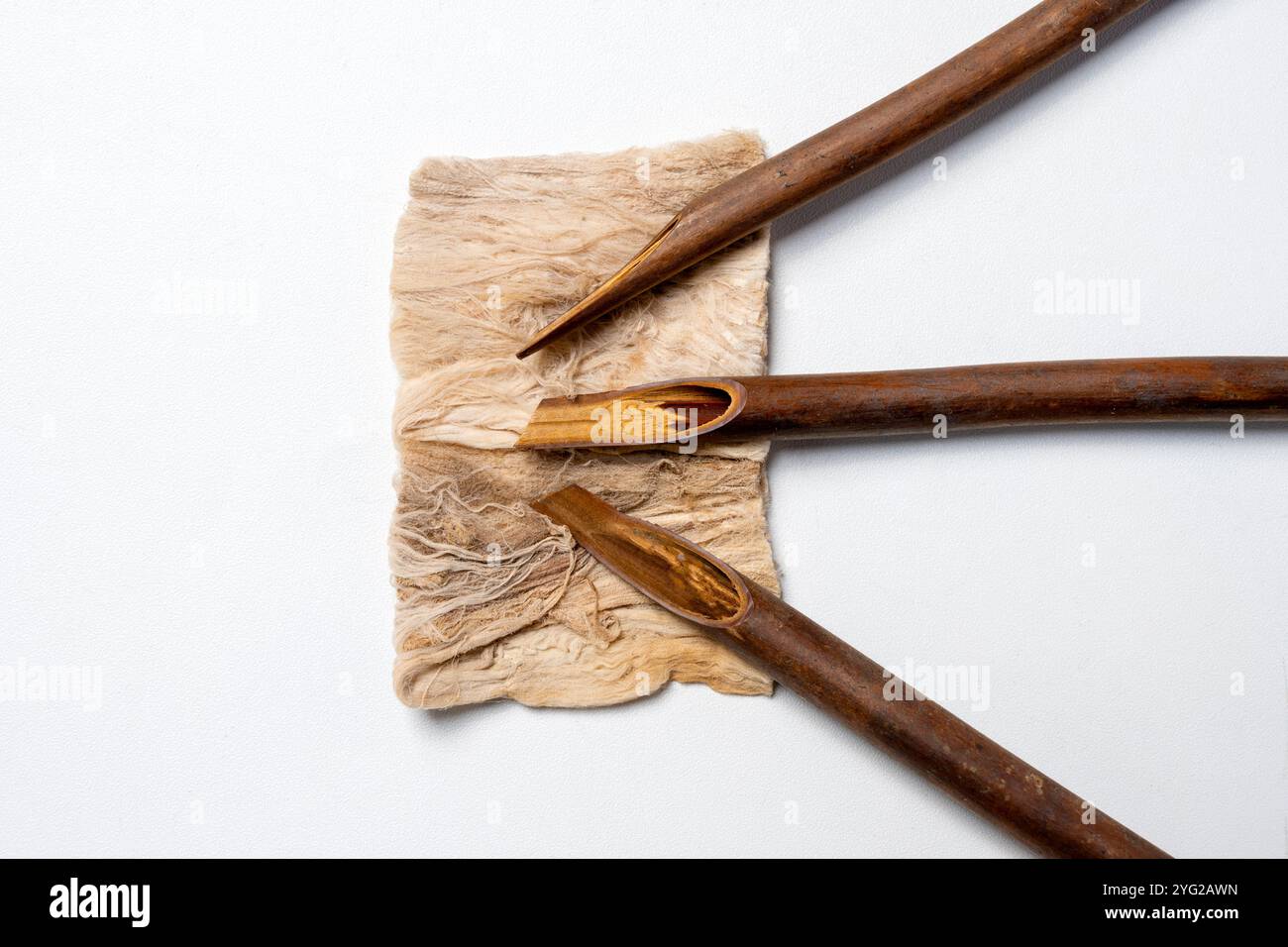 Set of calligraphy reeds isolated over white background. Reeds pen ink ...