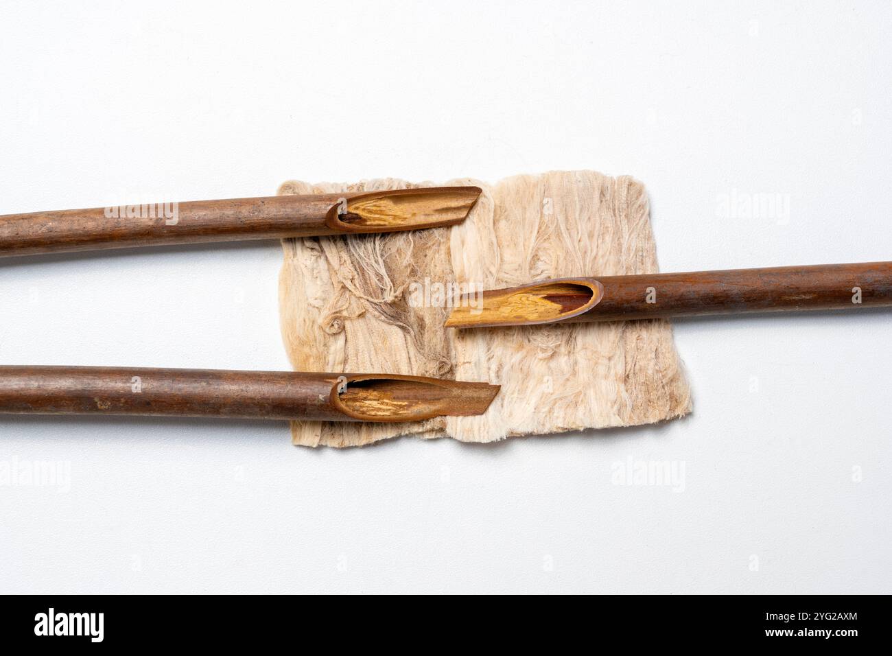 Set of calligraphy reeds isolated over white background. Reeds pen ink ...