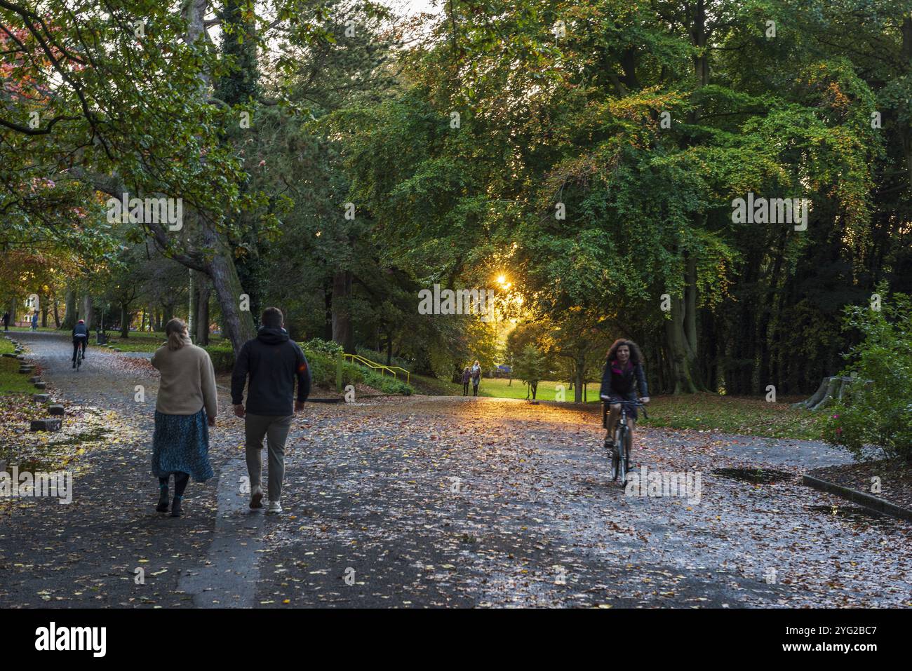 Ormeau park hi-res stock photography and images - Alamy