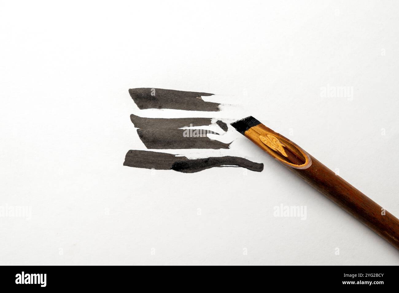 Calligraphy reeds covered ink on white paper. Reeds pen ink for writing ...