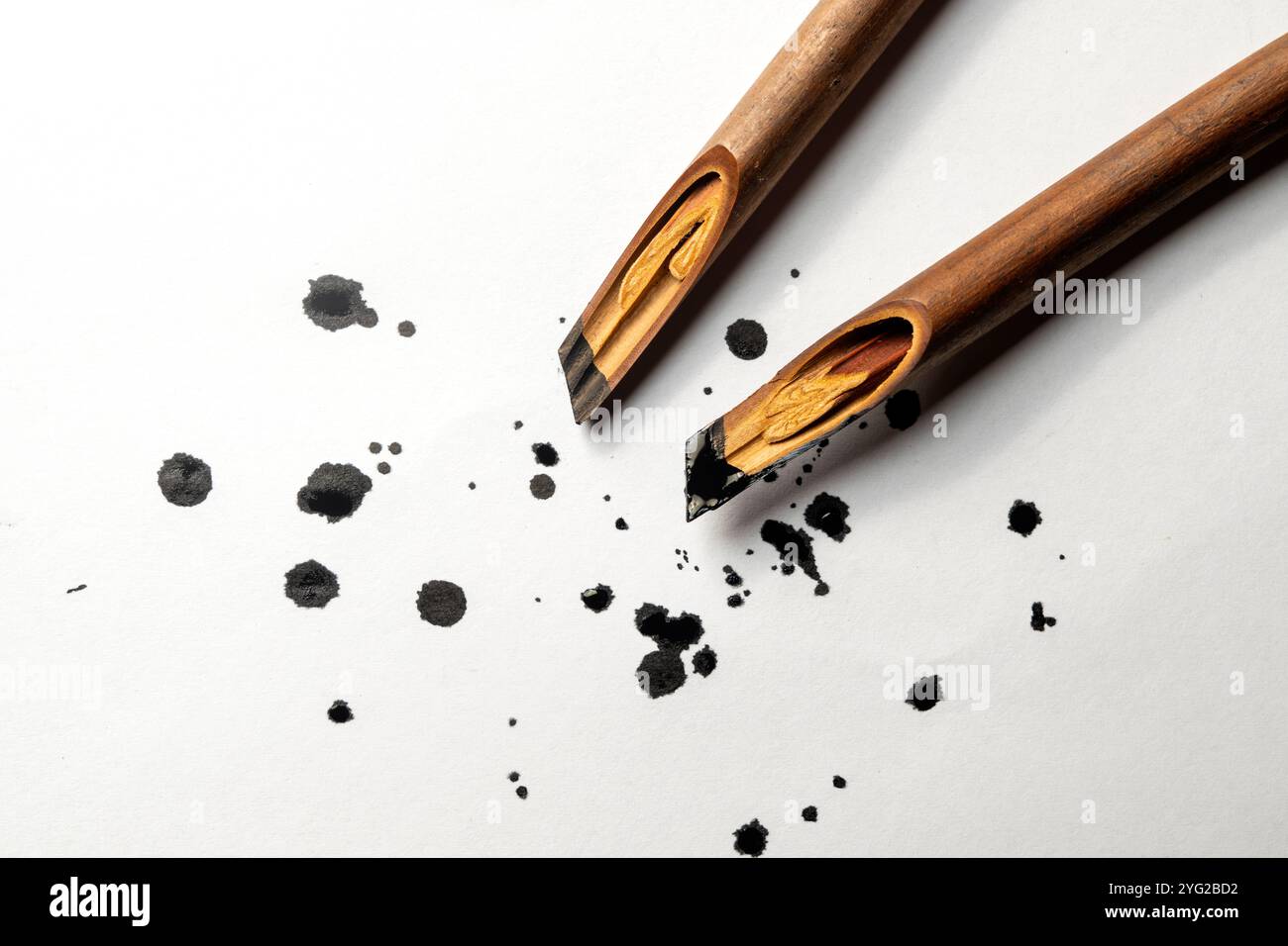 Calligraphy reeds covered ink on white paper. Reeds pen ink for writing ...