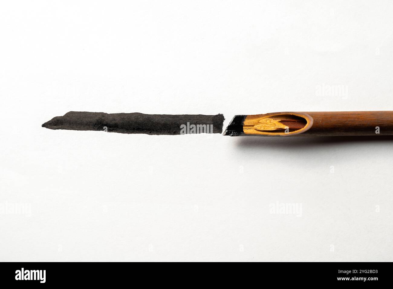 Calligraphy reeds covered ink on white paper. Reeds pen ink for writing ...