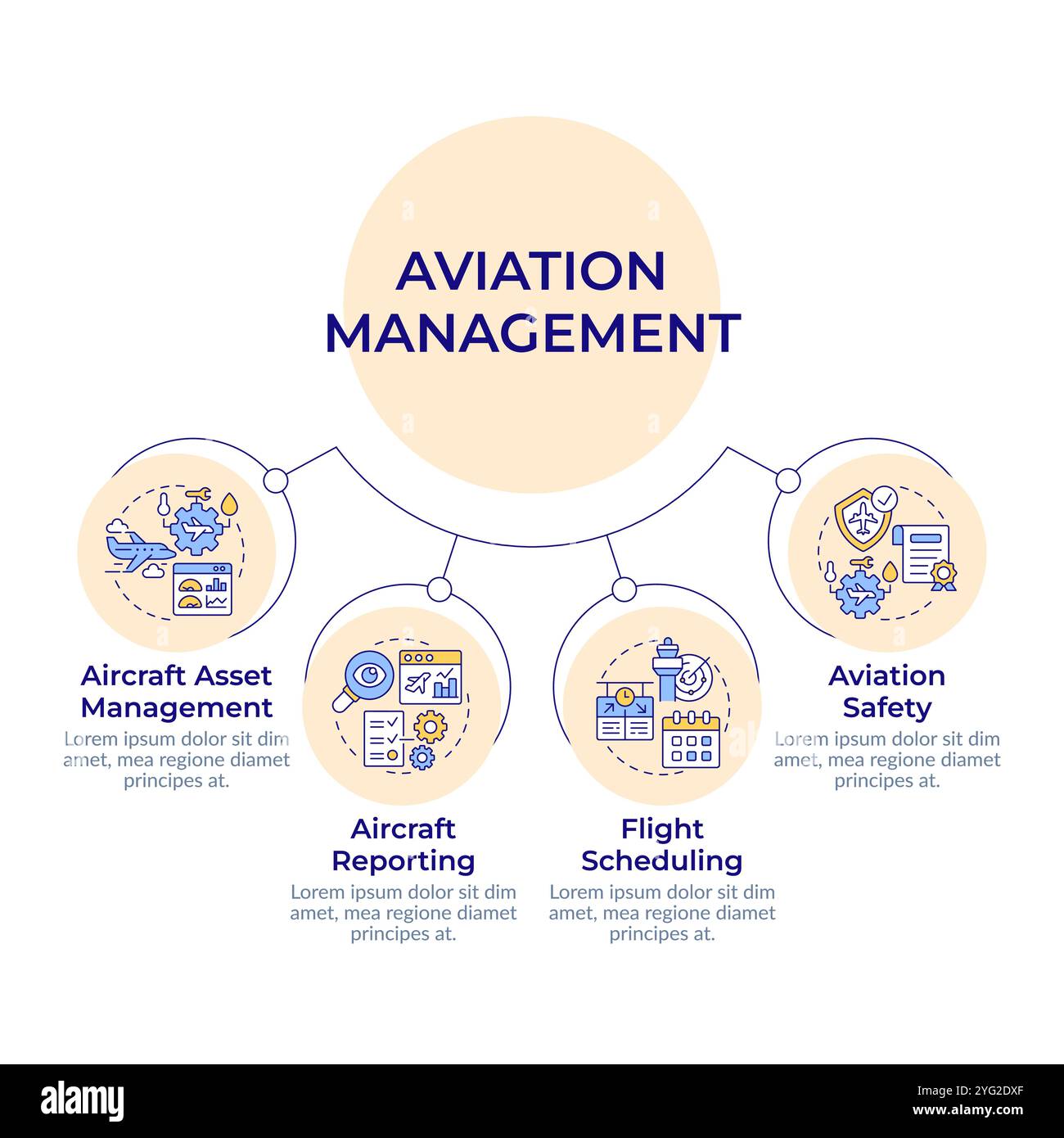 Aviation management organization circular diagram infographic Stock Vector Image & Art - Alamy
