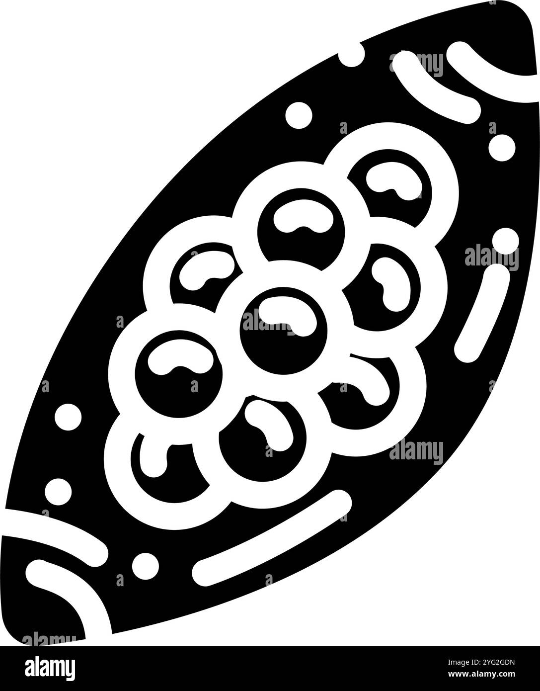 worm eggs parasite glyph icon vector illustration Stock Vector Image ...