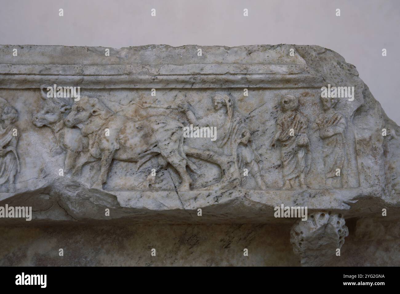 Block with a portrayal of the folding curule seat. Detail of city's ...