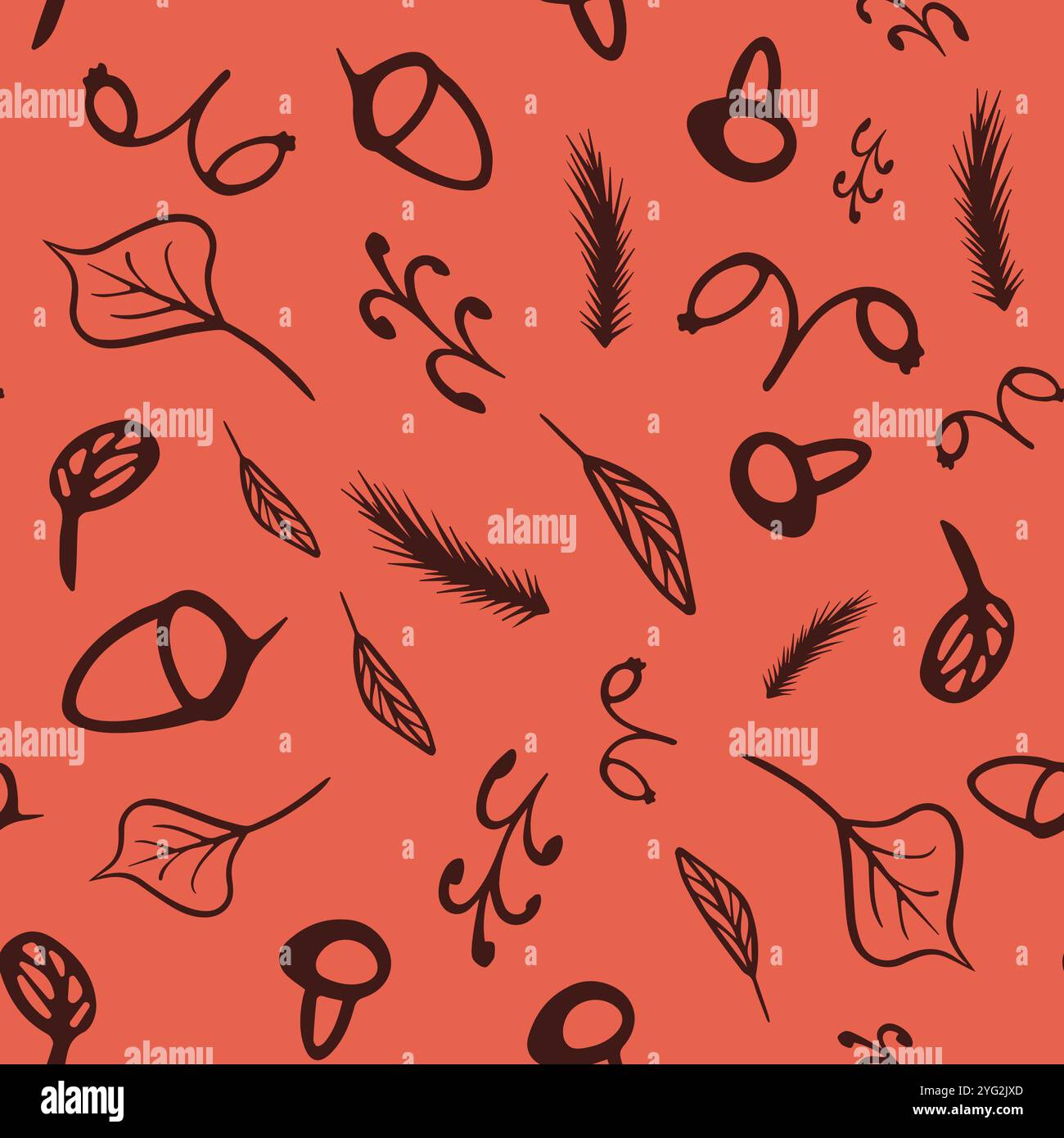 Various acorns hi-res stock photography and images - Alamy