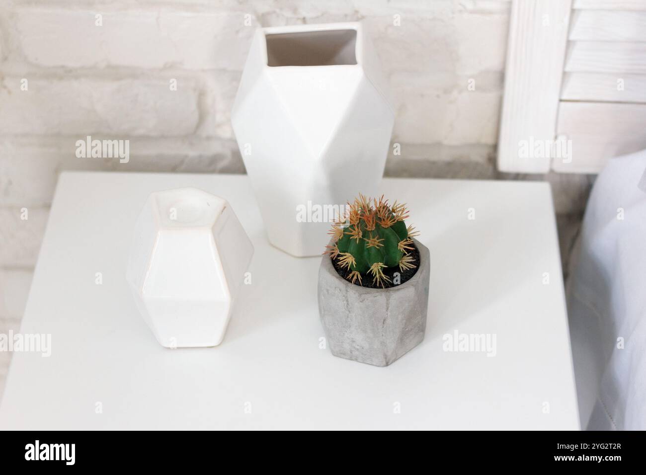 Houseplant from cactus family, planted in a gray vase, lies on a ...