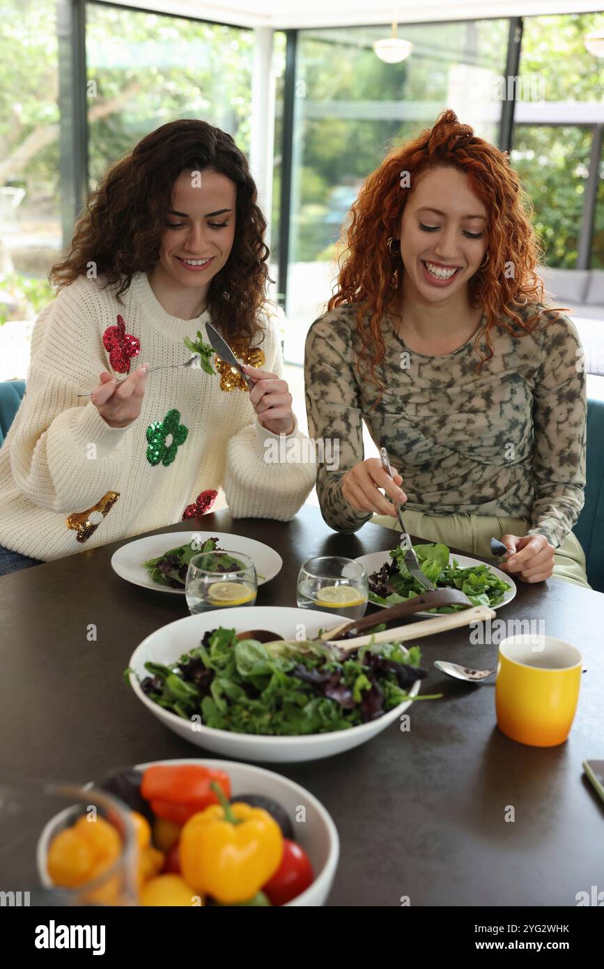 Two women dining in living room Stock Photo - Alamy