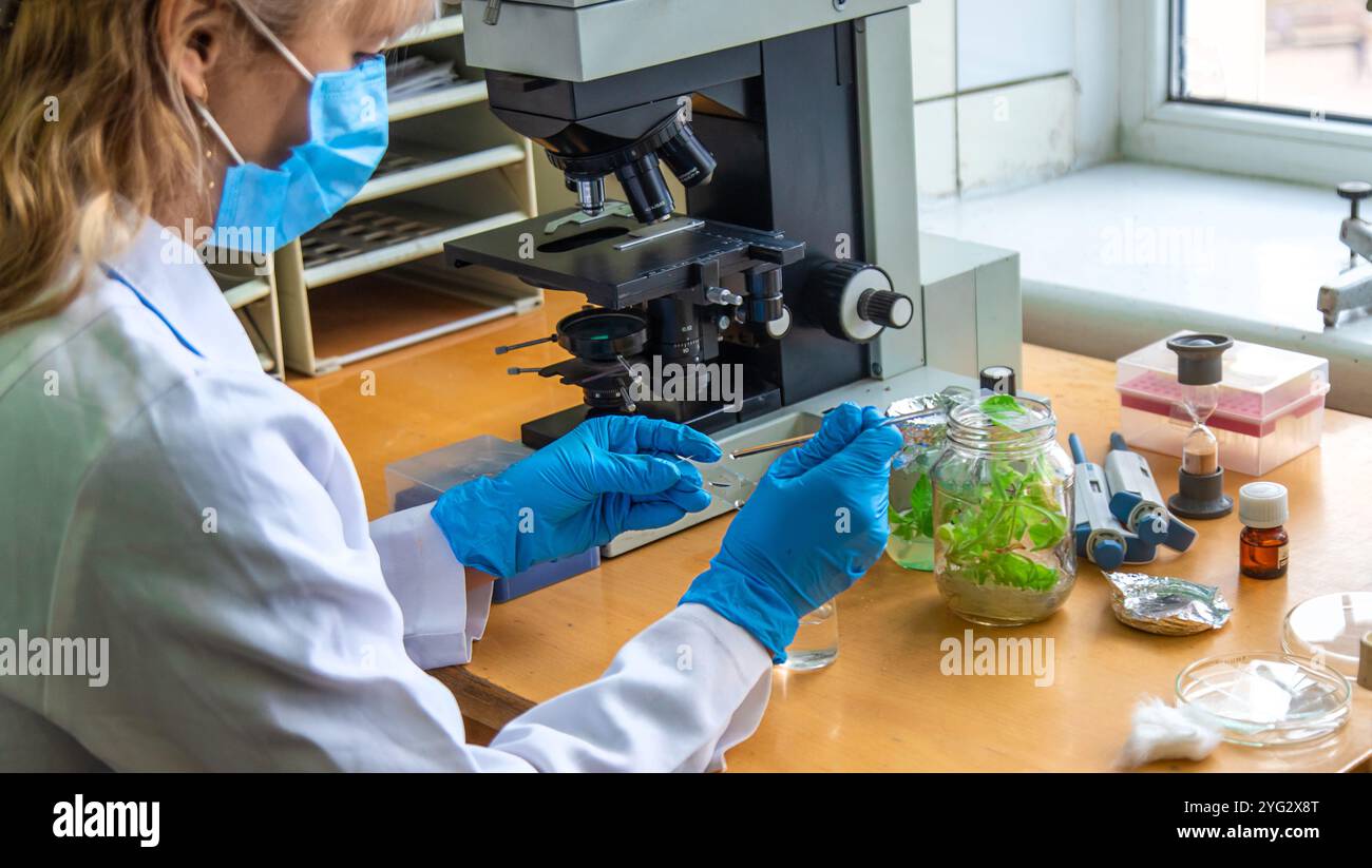 Examine in the laboratory under a microscope. Selective focus. medicine ...